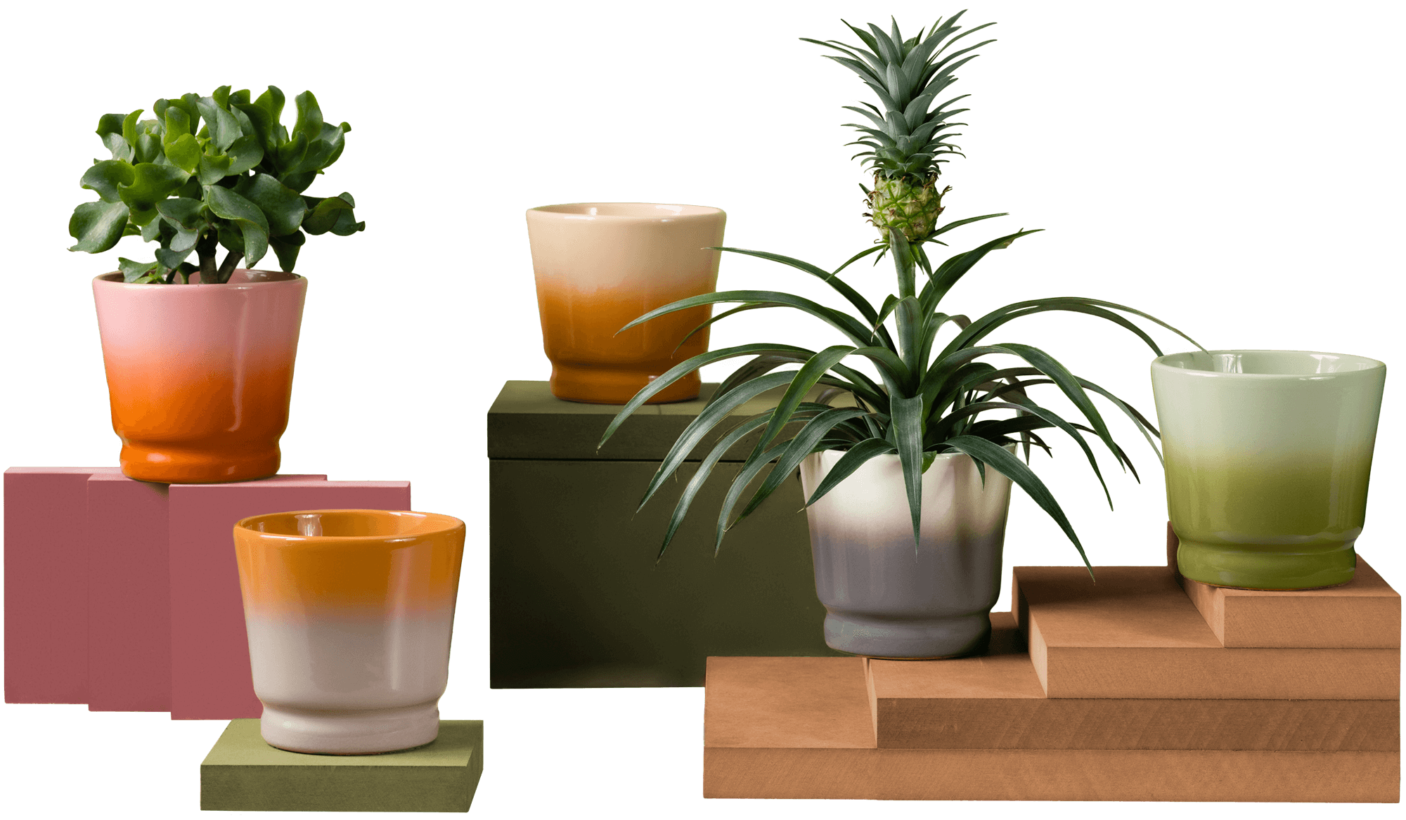 Amy blue MA 2007-1 - van der Sar